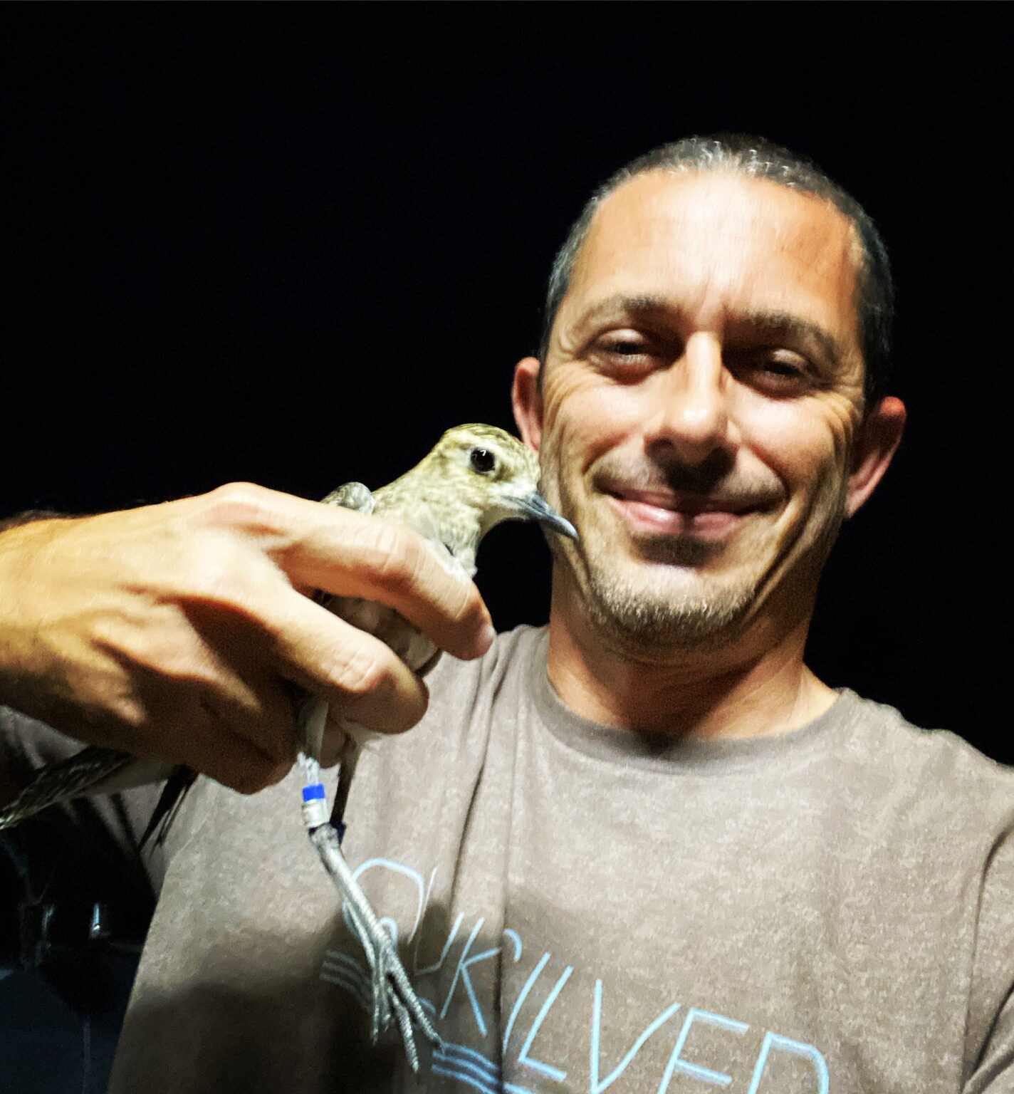 A bird in the hand, and band through a lens – Kolea Count