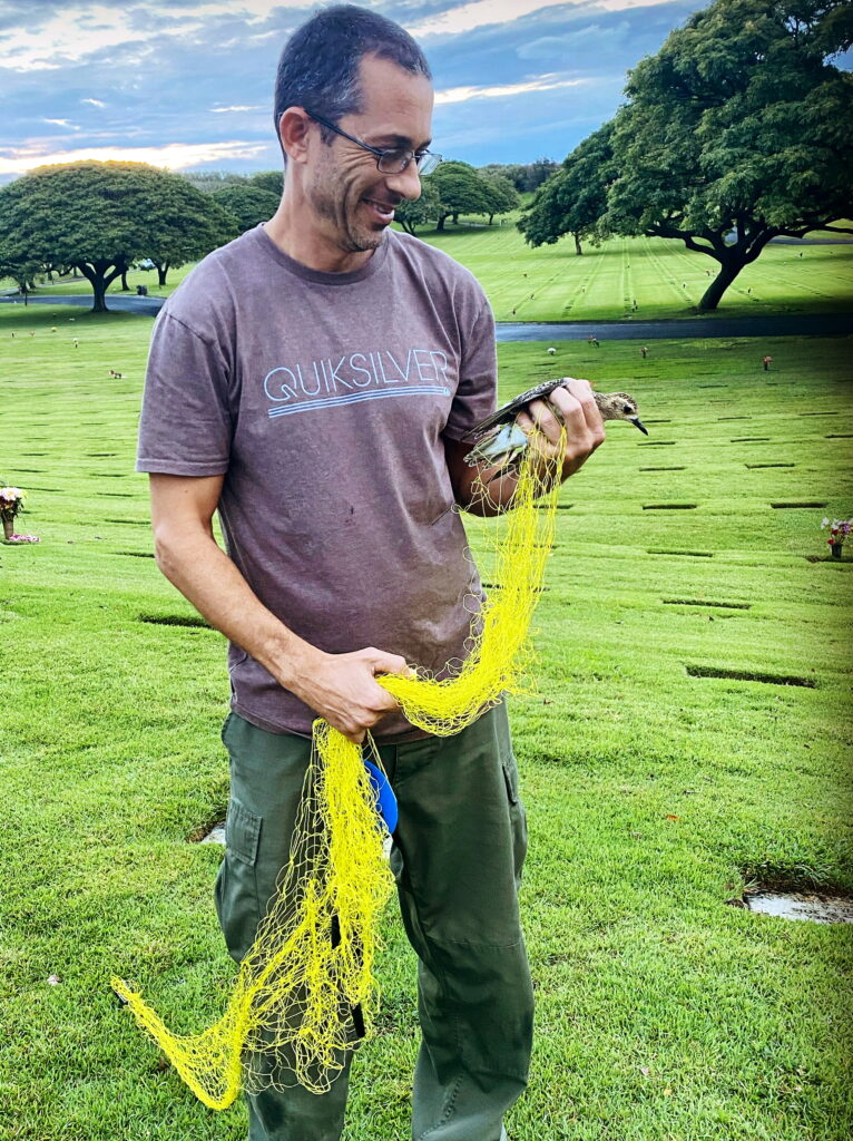 A bird in the hand, and band through a lens – Kolea Count